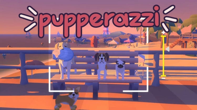 Pupperazzi: Jak zrobić najlepsze zdjęcia psów, najpotężniejszych istot ...